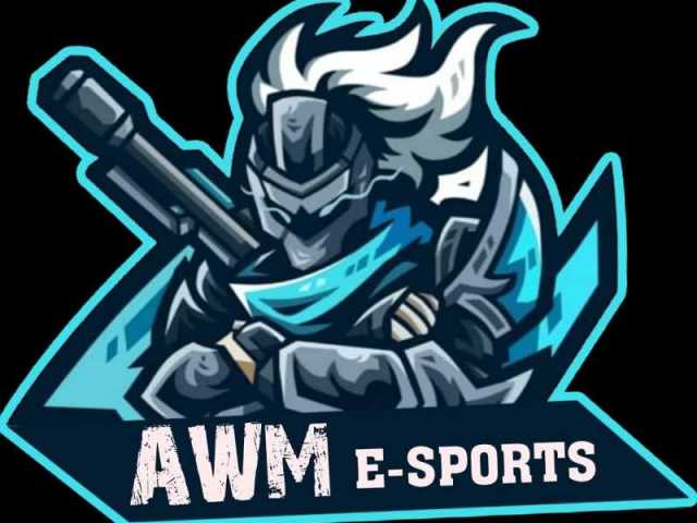 Lista De Membros AWM E-SPORTS | Quizur